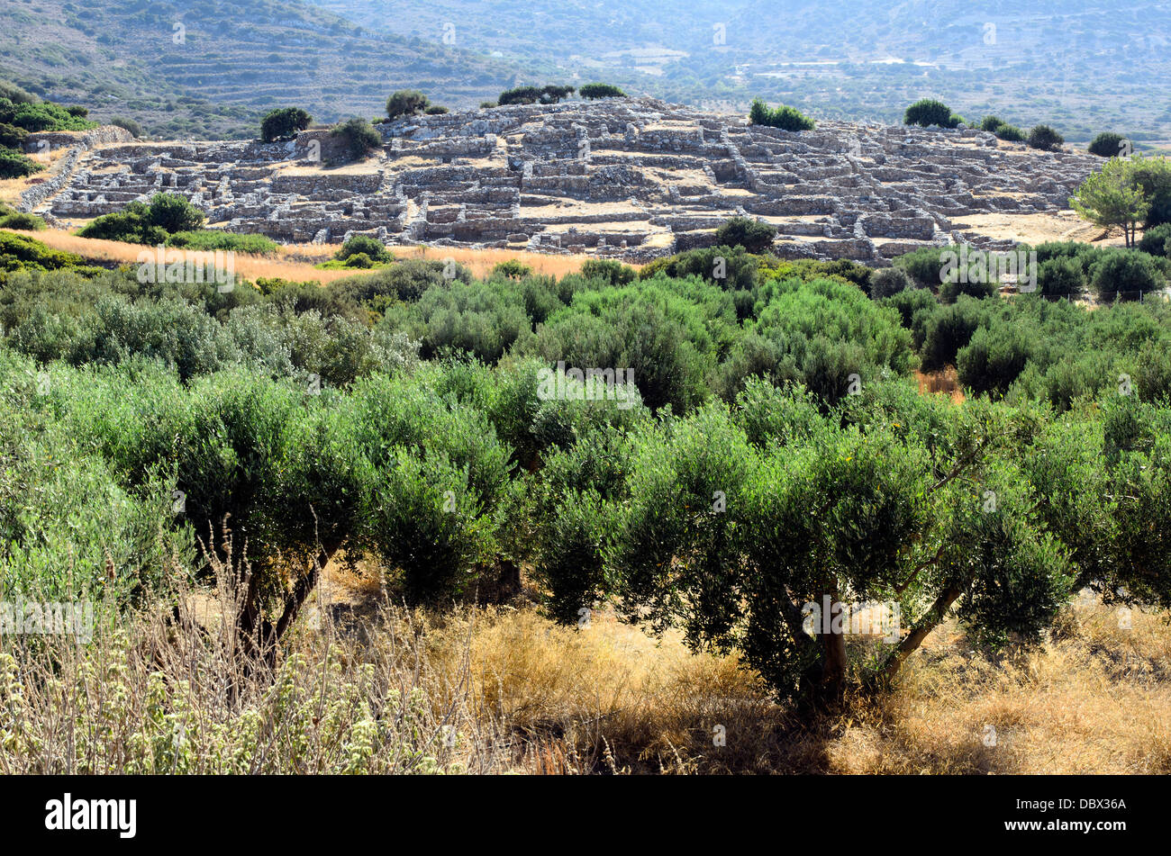 Ruins of a Minoan site at Gournia - Crete, Greece Stock Photo - Alamy