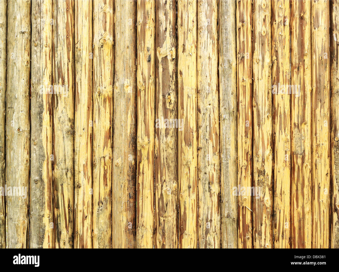 Long row of peeled logs Stock Photo - Alamy