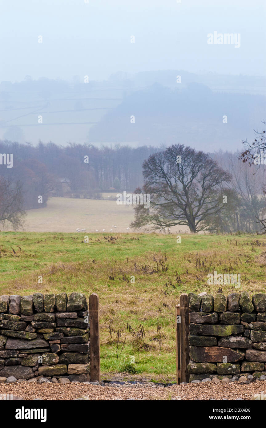 Dry stone wall with wooden gate - open Stock Photo - Alamy