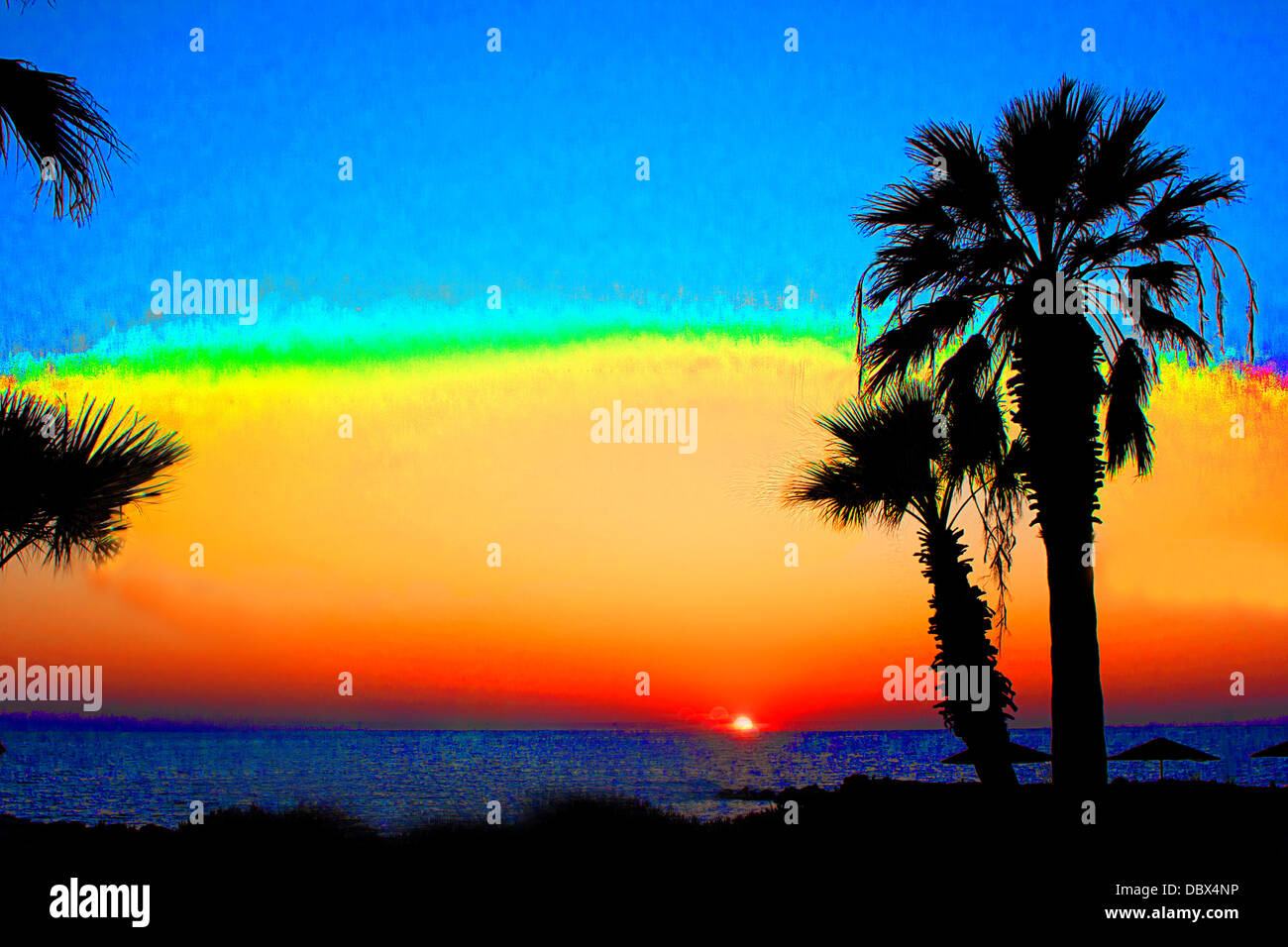 Psychedelic palm trees hi-res stock photography and images - Alamy