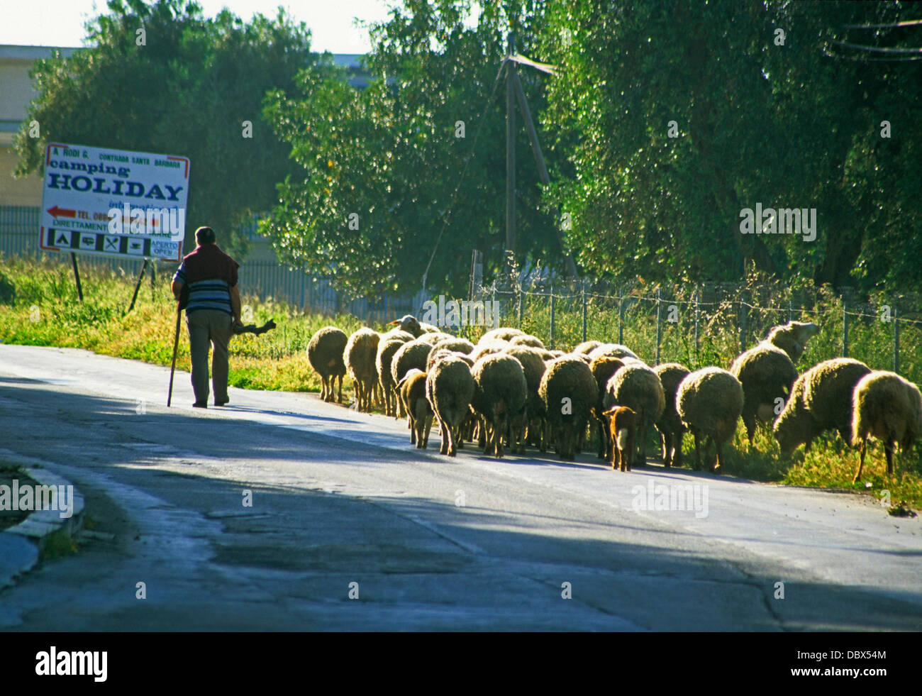 Italian shepherd hi-res stock photography and images - Alamy