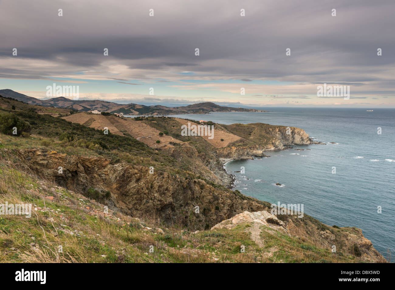 Vermilion border hi-res stock photography and images - Alamy