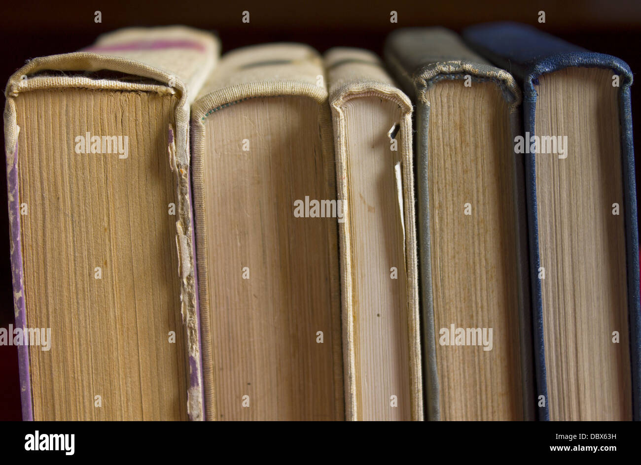 Five wisdom hi-res stock photography and images - Alamy