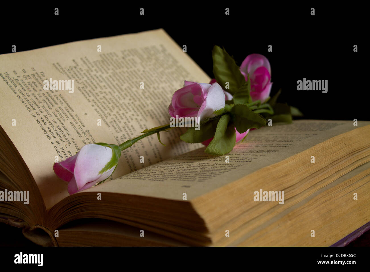 book and rose Stock Photo - Alamy