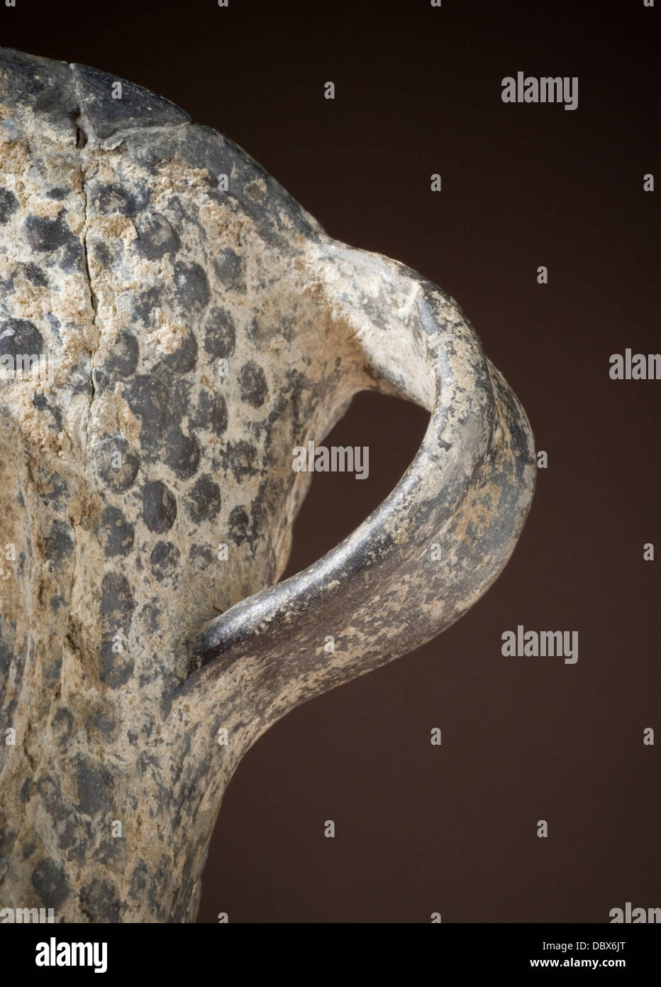 Ram's Head Cup 50.8.42 (5 of 5 Stock Photo - Alamy