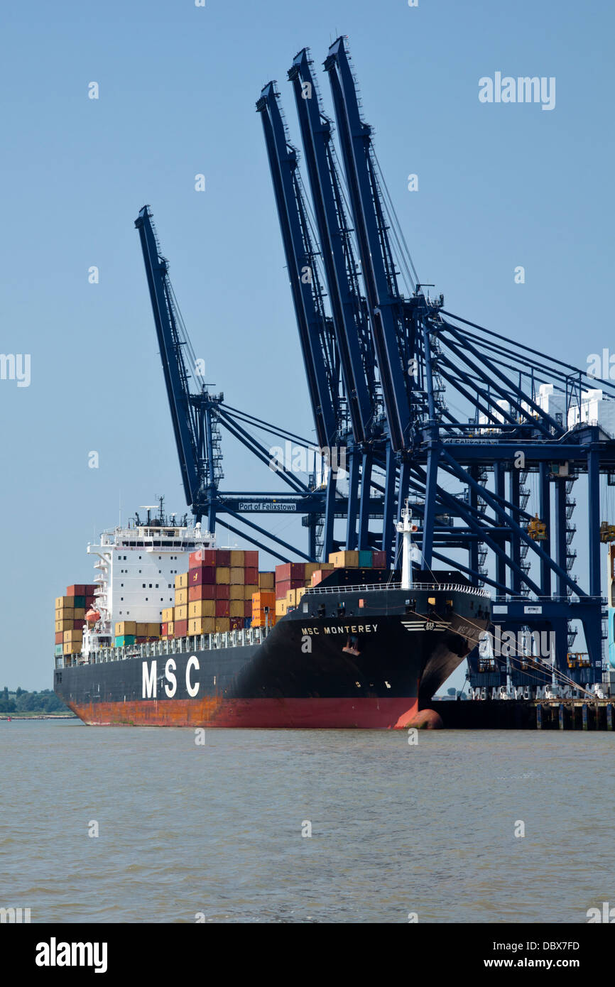 Msc monterey hi-res stock photography and images - Alamy