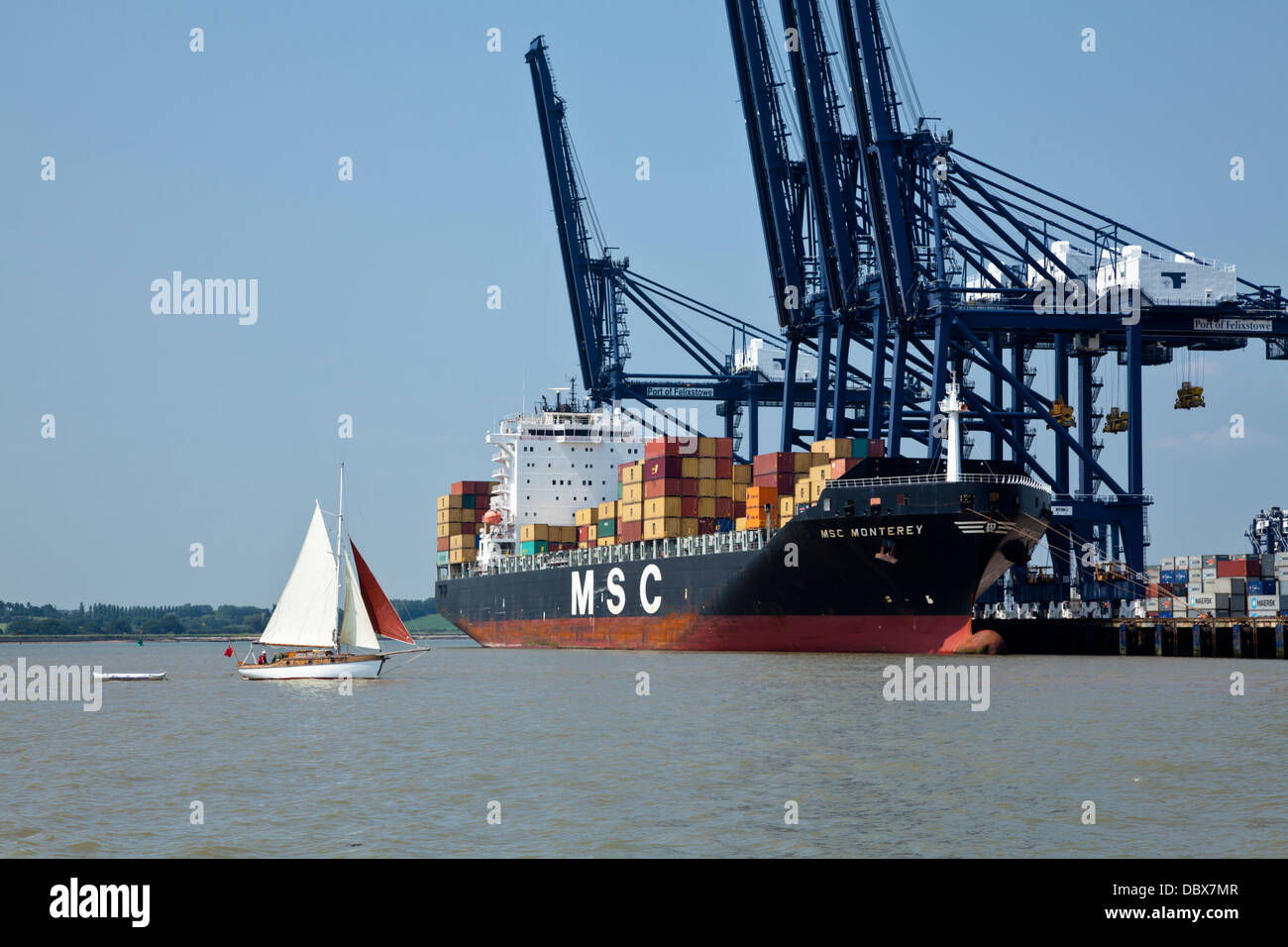 A gaff cutter sails in front of MSC Monterey unloading in Felixstowe ...