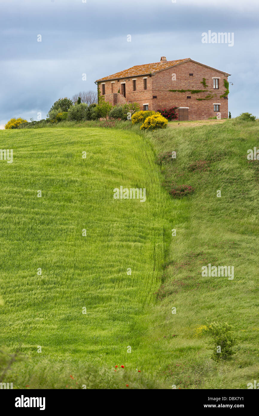 Tuscany farmhouse with fields and flowers, Val d'Orcia, Italy Stock ...