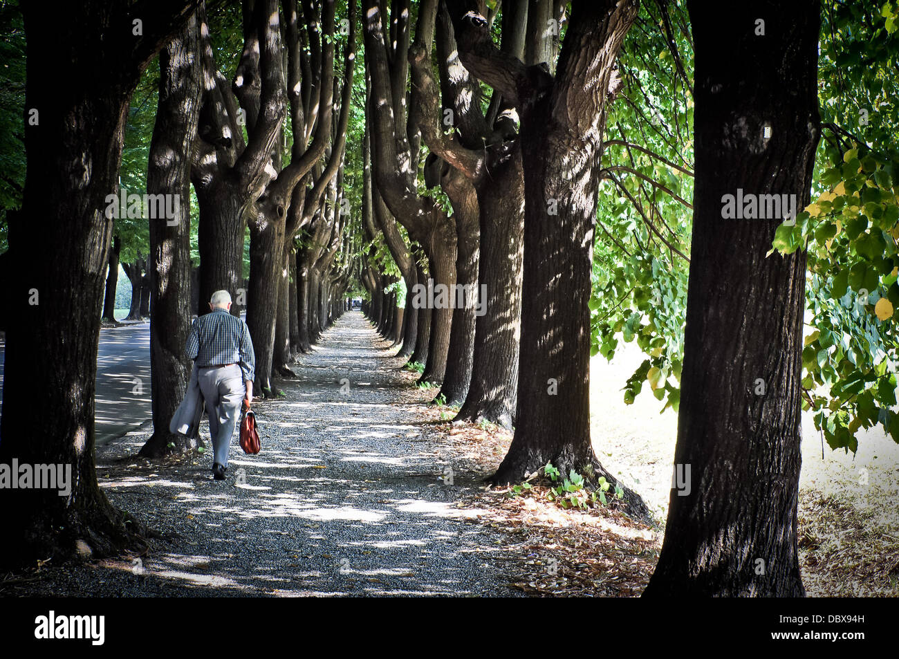 Old man walking alone bicycle hi-res stock photography and images - Alamy