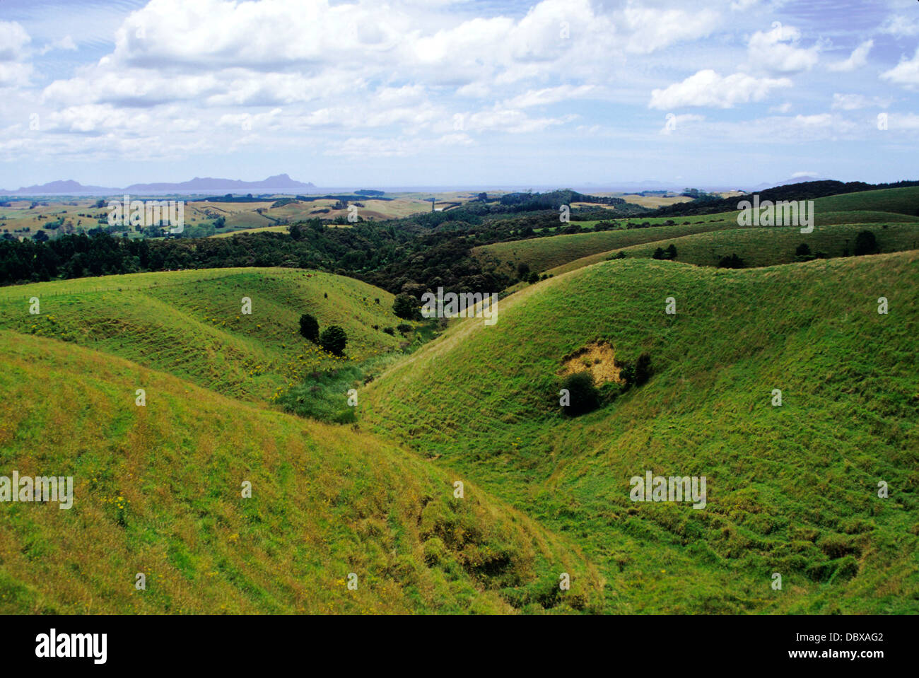 NORTH ISLAND NEW ZEALAND ROLLING GREEN HILLS Stock Photo - Alamy