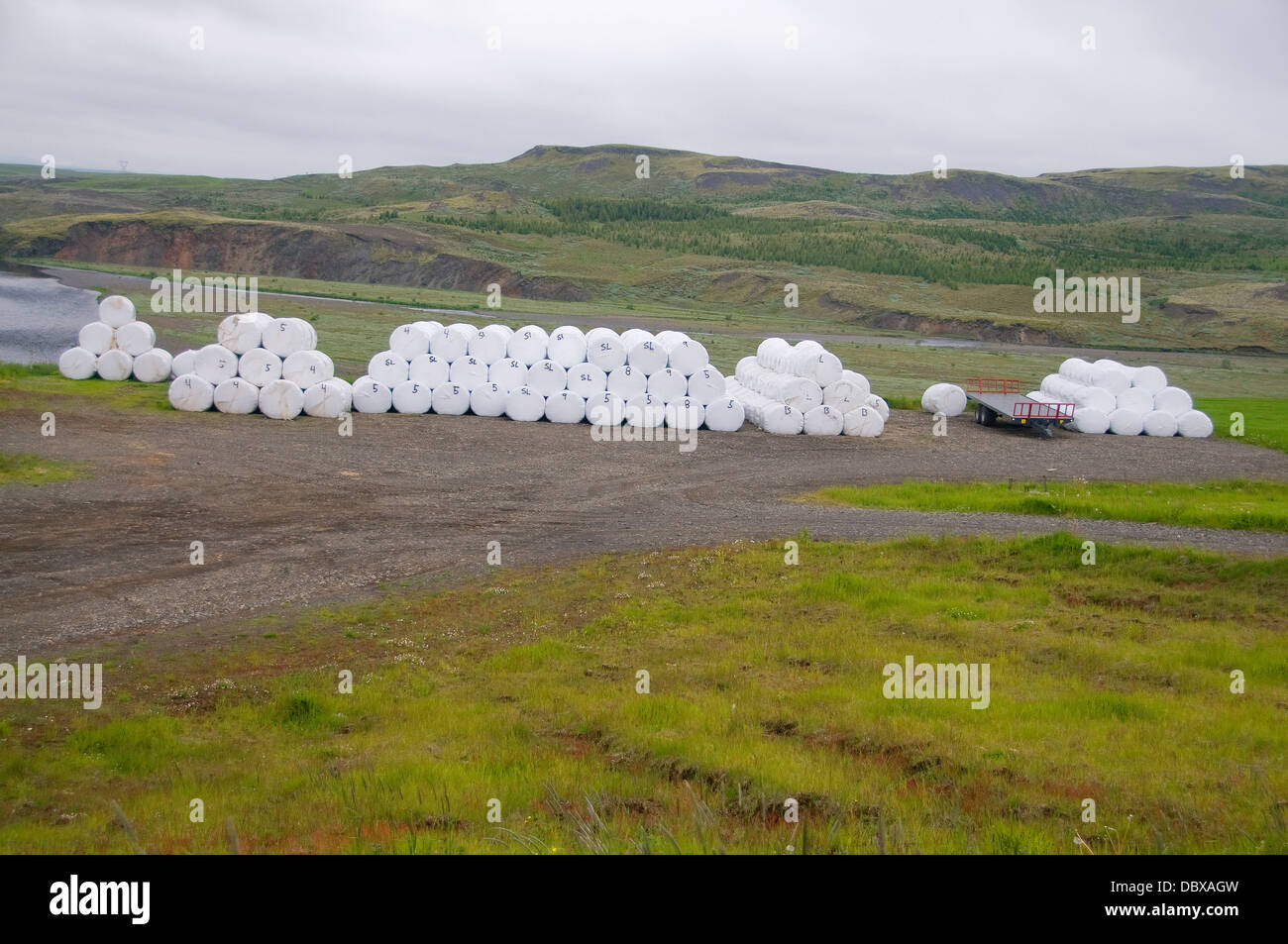 Colorful machinery and a systematic numbering is used to bail hay for ...