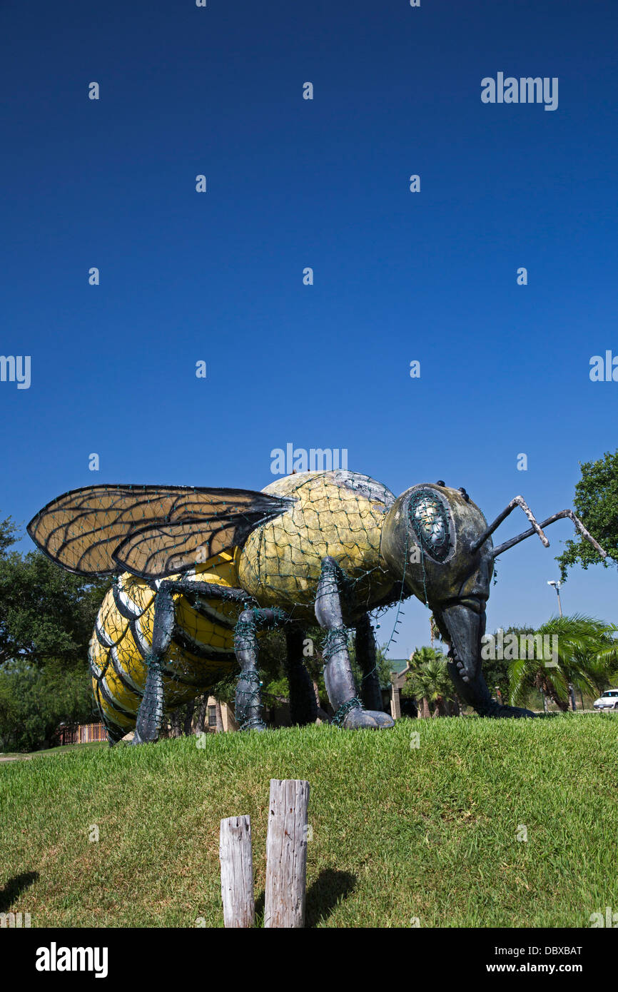 World's Largest Killer Bee Stock Photo - Alamy