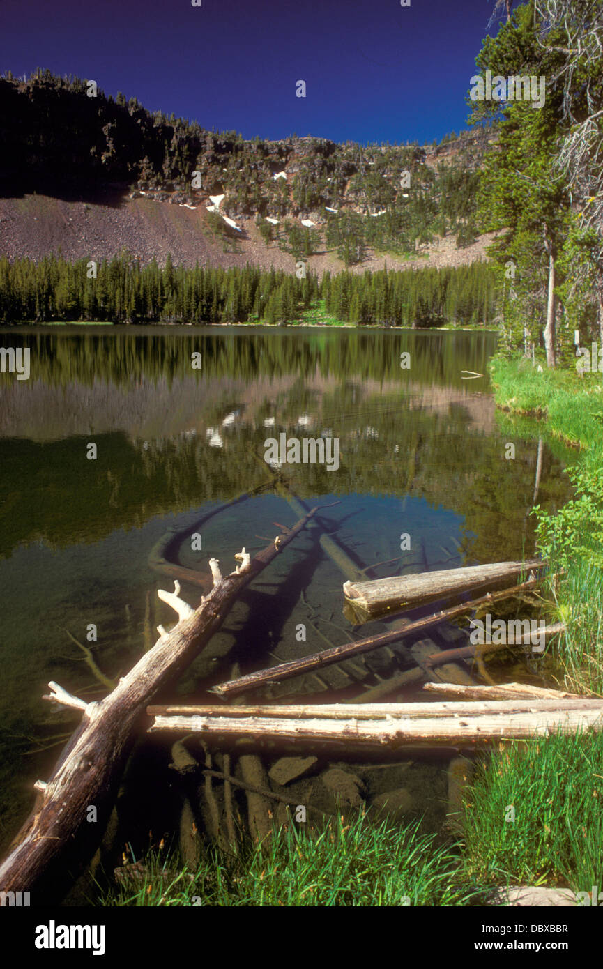 Malheur national forest hi-res stock photography and images - Alamy