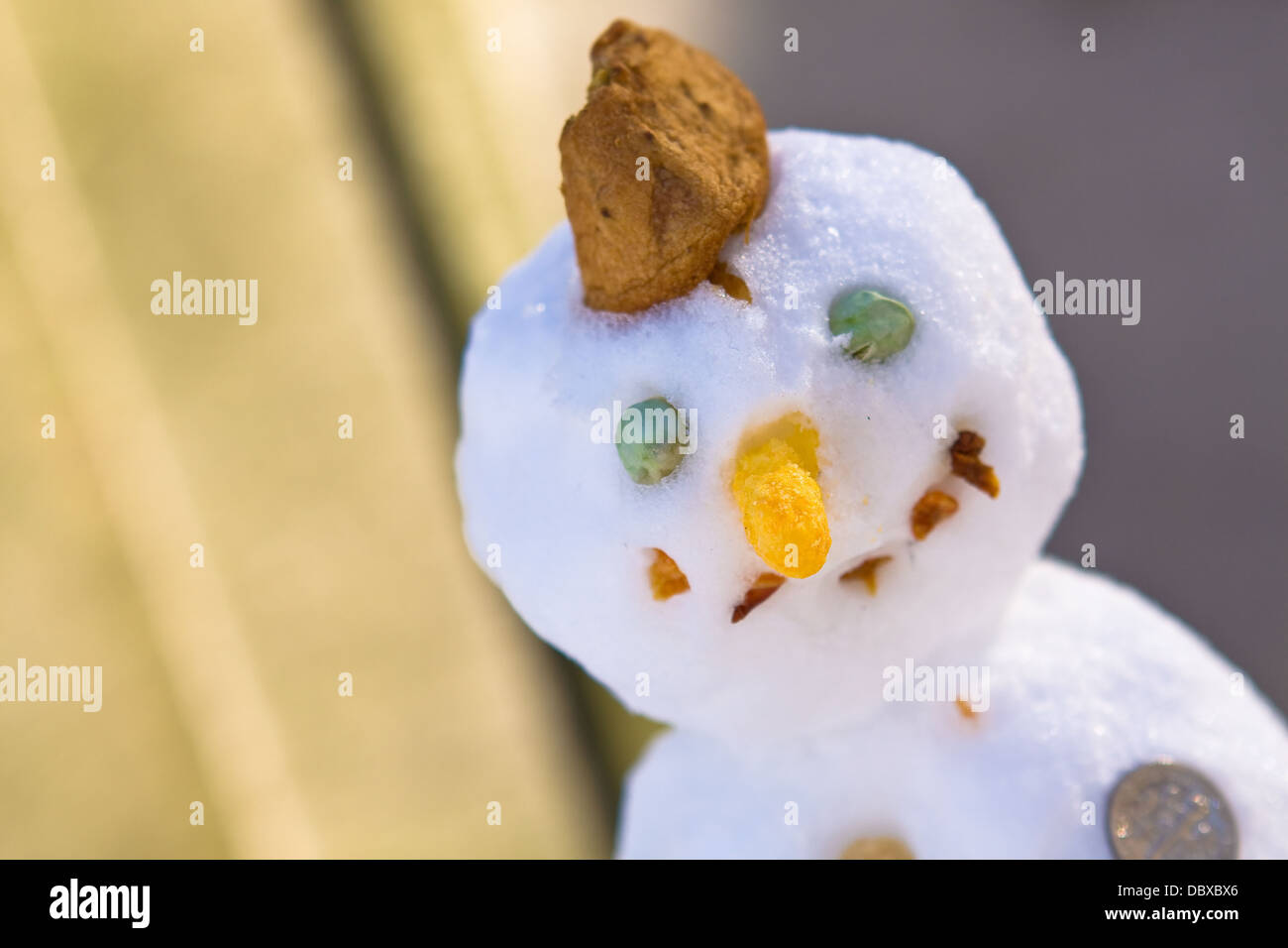 EDIBLE SNOWMAN FOR THE BIRDS RITTENHOUSE SQUARE PARK PHILADELPHIA ...