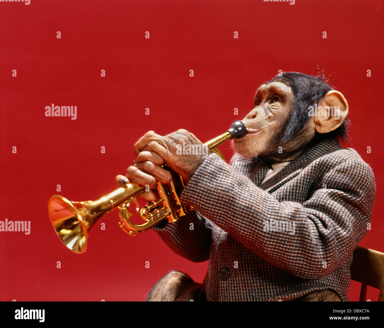 1960s jazz hi-res stock photography and images - Alamy
