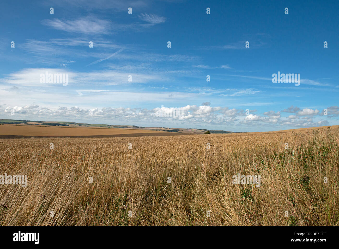 Landscape view of the South Downs, East Sussex on the B2123 near ...
