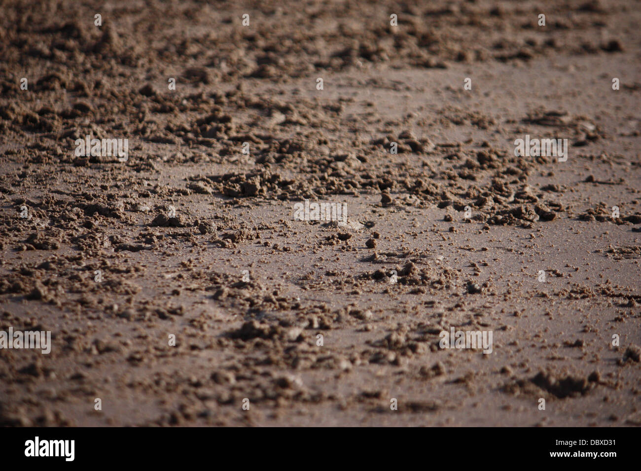 rough sand on a beach Stock Photo - Alamy