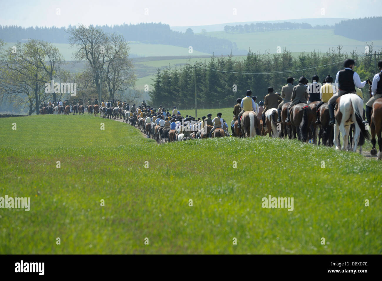 Hawick Common Riding is the first of the annual Border events, it ...