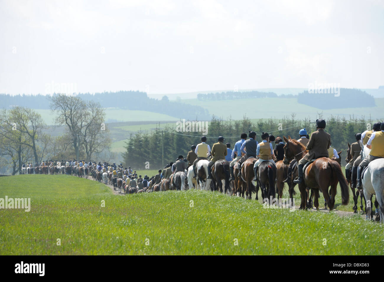 Hawick Common Riding is the first of the annual Border events, it ...