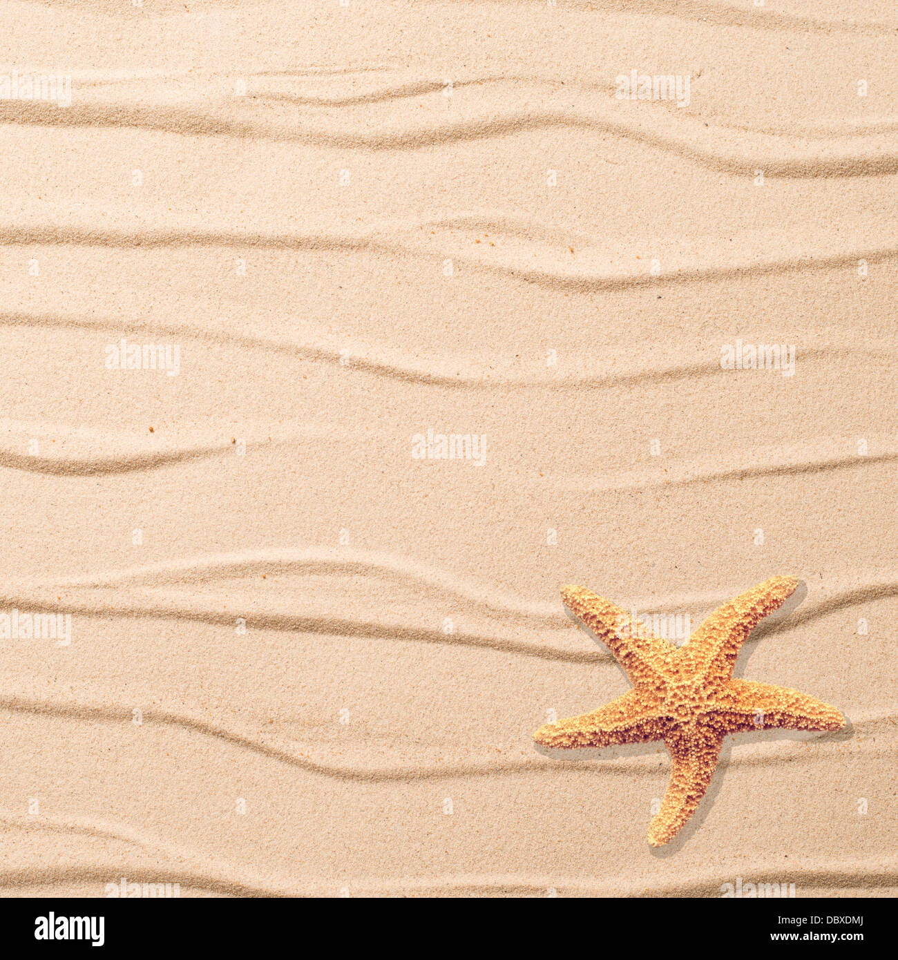Sand background texture with starfish Stock Photo - Alamy
