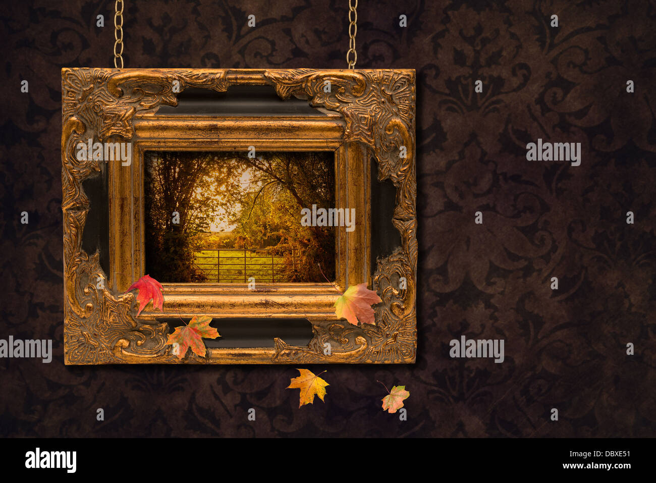 Autumn frame with falling leaves Stock Photo - Alamy