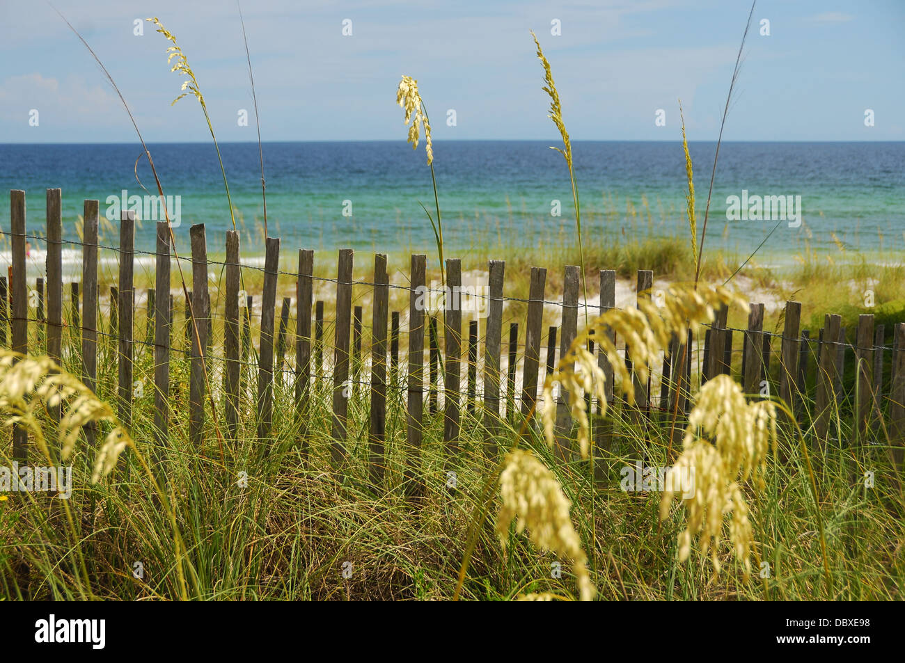 Sea Oats Beach Landscape Stock Photo - Alamy