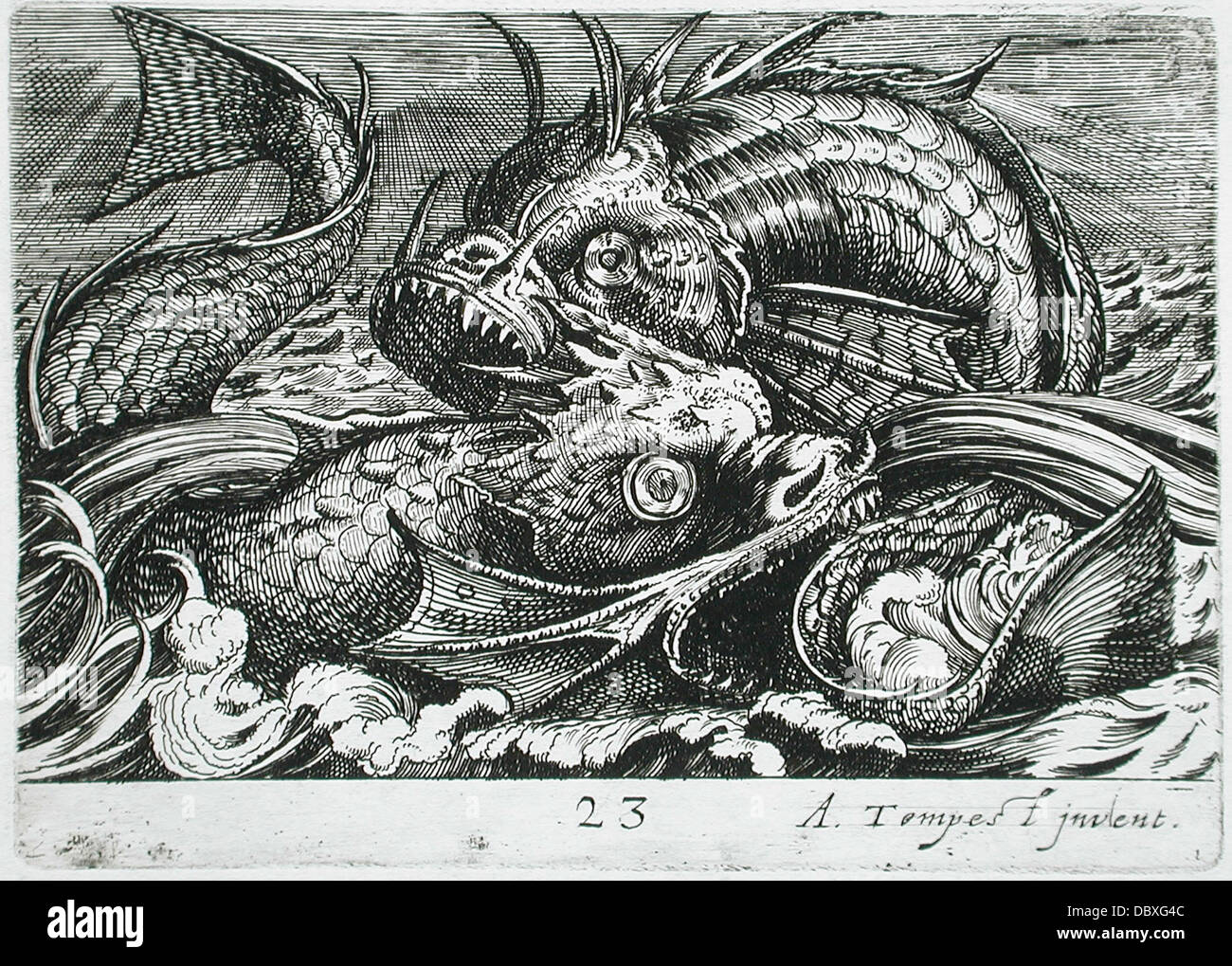 Two Fish Fighting 65.37.318 Stock Photo - Alamy