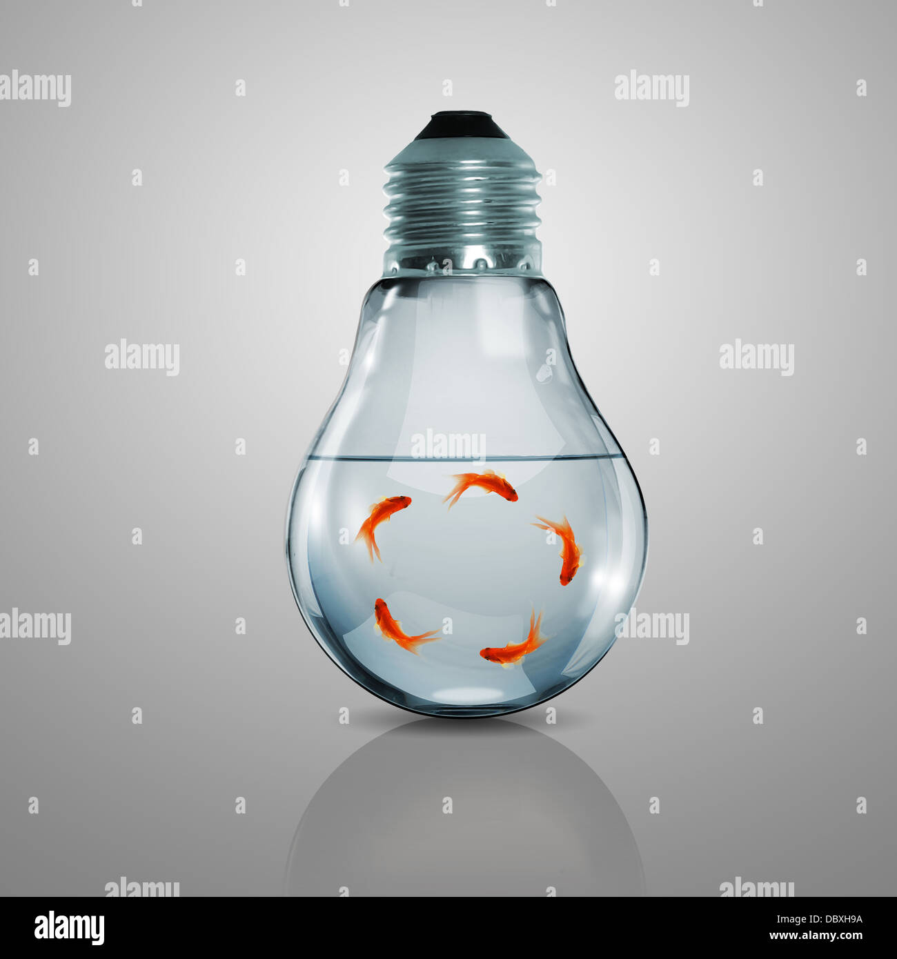 Gold fish inside an electric bulb Stock Photo - Alamy