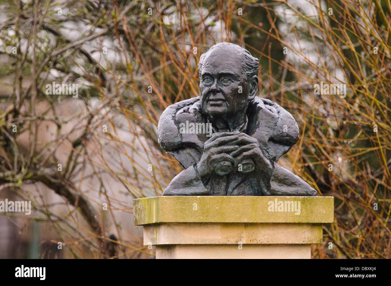 A bust of Sir Peter Scott, naturalist and founder of the wildfowl and ...