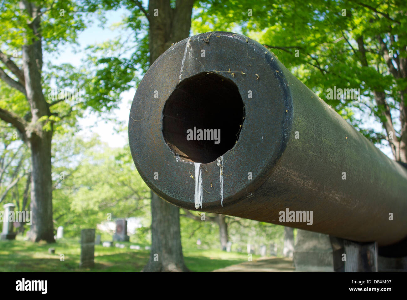 Civil War era Parrott rifle, closeup of barrel. Oak Ridge Cemetery ...