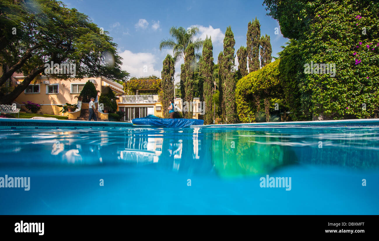 Mexico city forest hi-res stock photography and images - Alamy