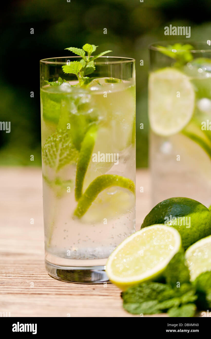 fresh cold refreshment drink mineral water soda with lime and mint on ...