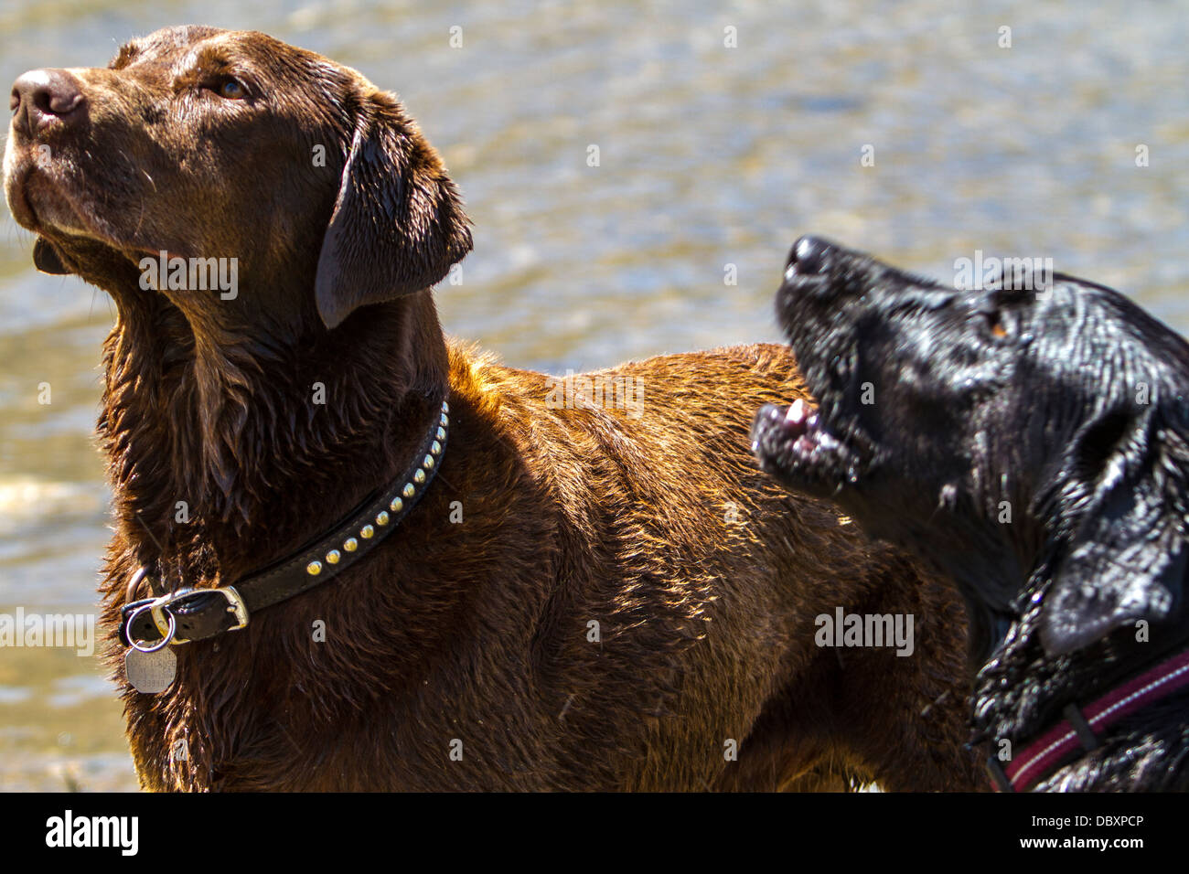 Rugged mountain peaks in cool black hi-res stock photography and images ...