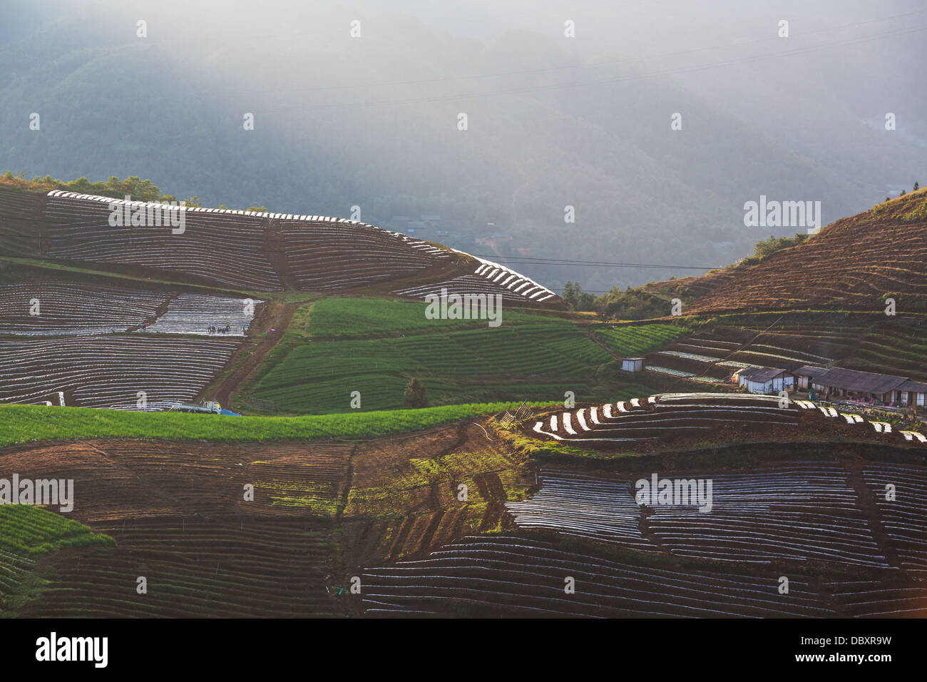 Beautiful landscape agricultural fields hi-res stock photography and ...