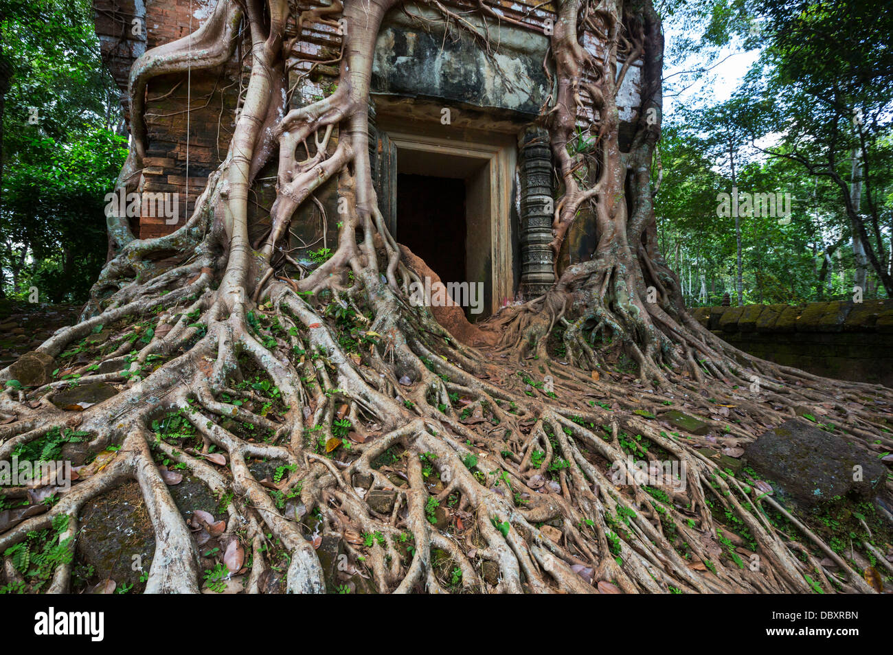 Koh ker archaeological hi-res stock photography and images - Alamy