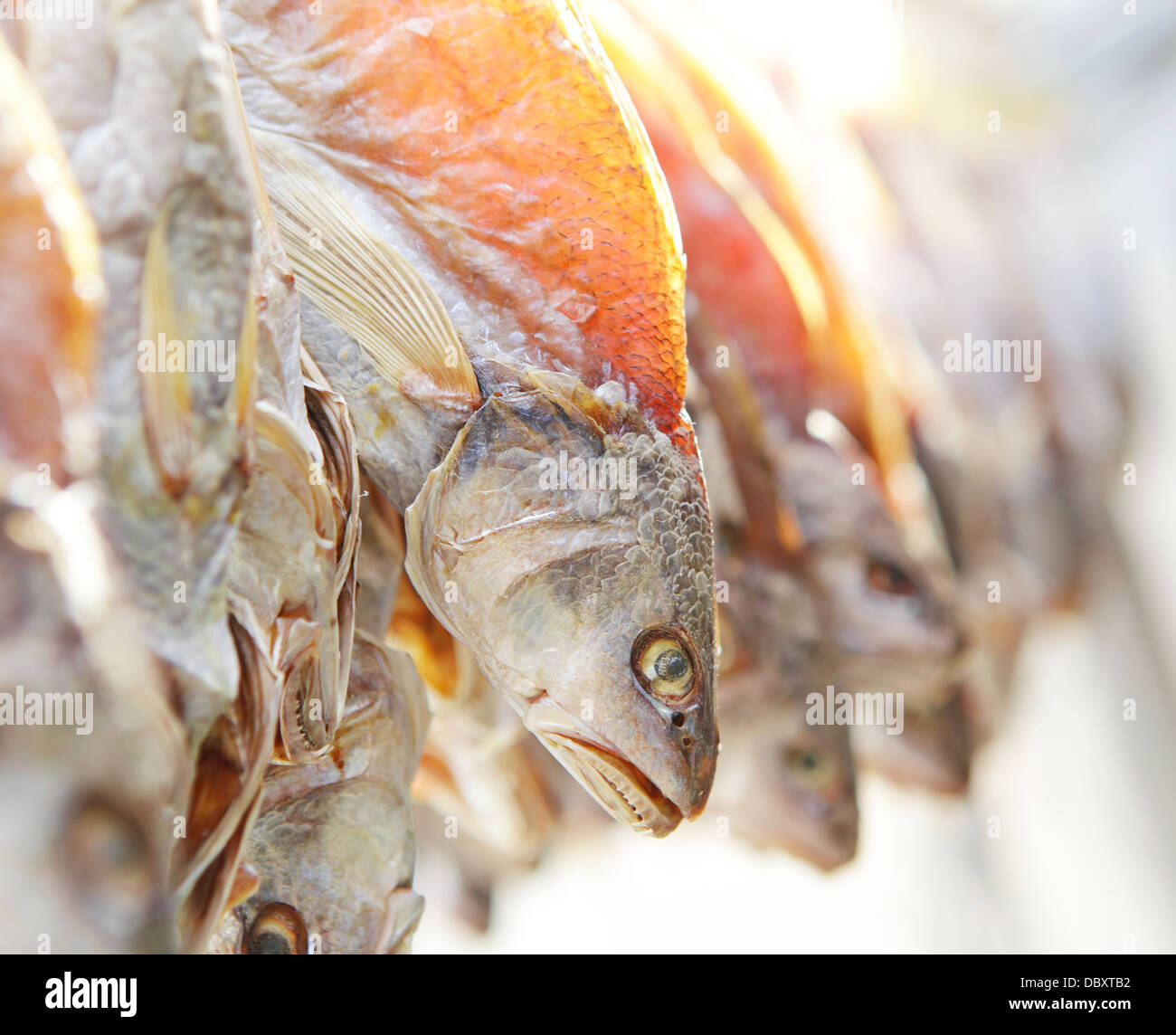 dry salt fish Stock Photo - Alamy