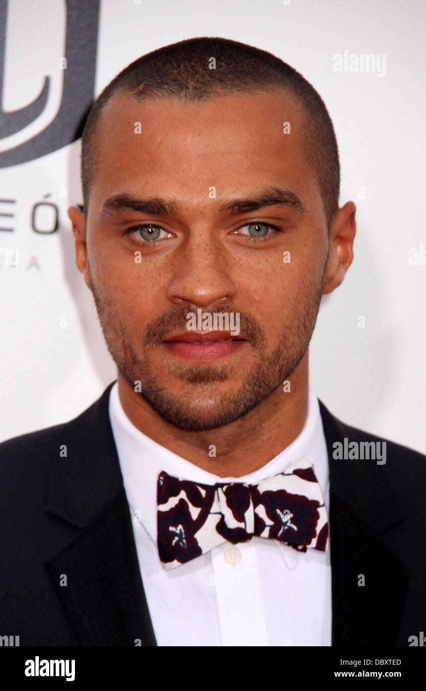 New York, NY, USA. 5th Aug, 2013. - Actor JESSE WILLIAMS attends the ...