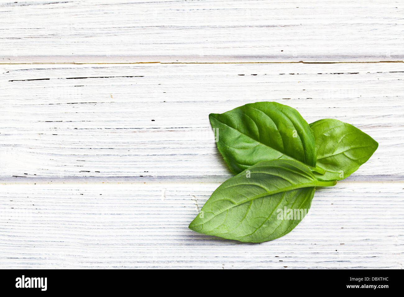the basil leaves on kitchen table Stock Photo - Alamy
