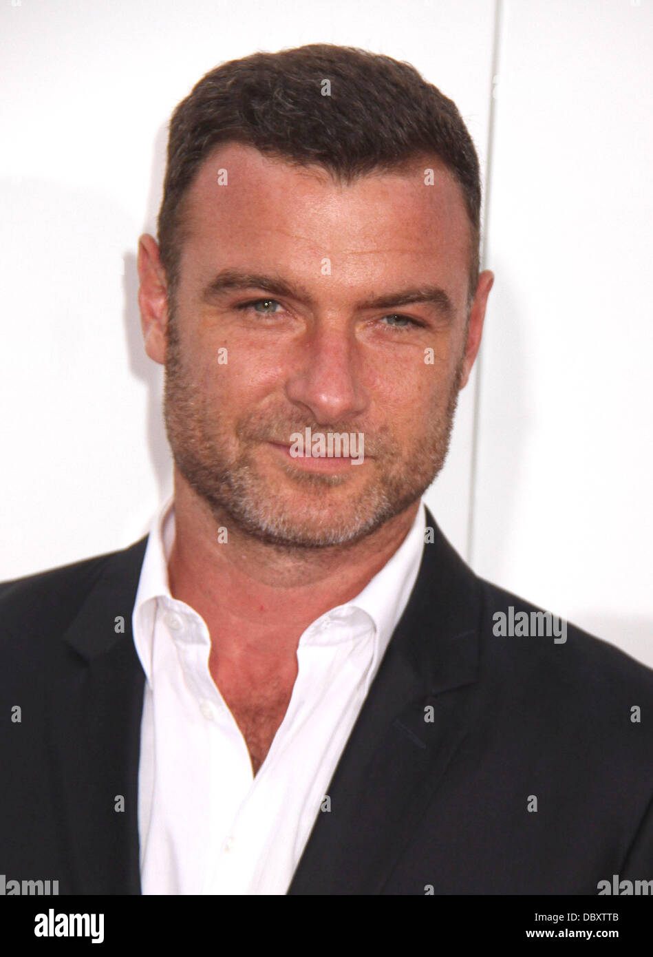 New York, NY, USA. 5th Aug, 2013. - Actor LIEV SCHREIBER attends the ...