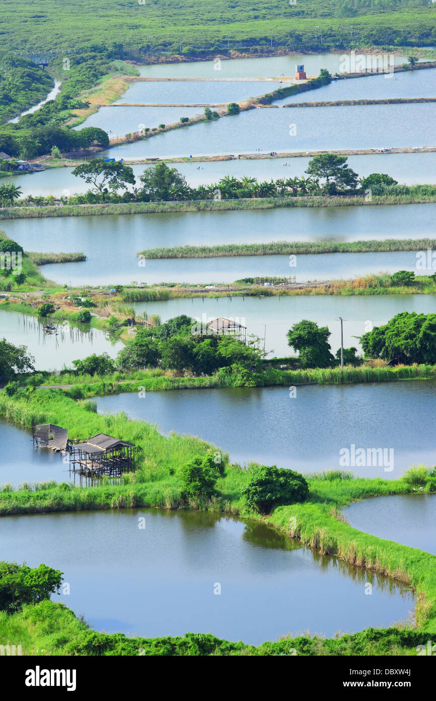 Fish hatchery pond Stock Photo - Alamy