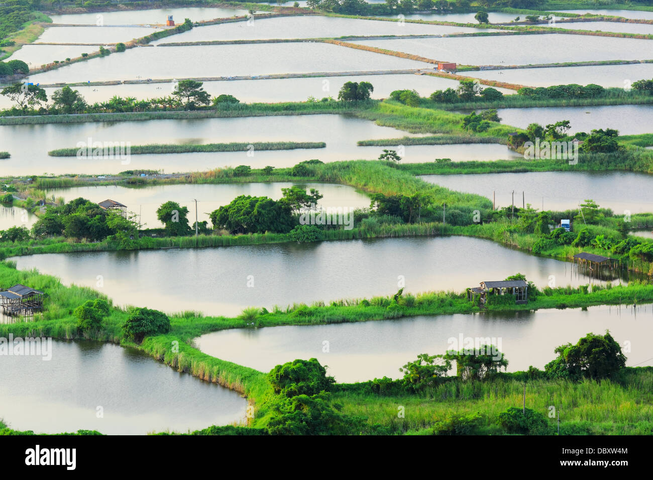 Fish hatchery pond Stock Photo - Alamy