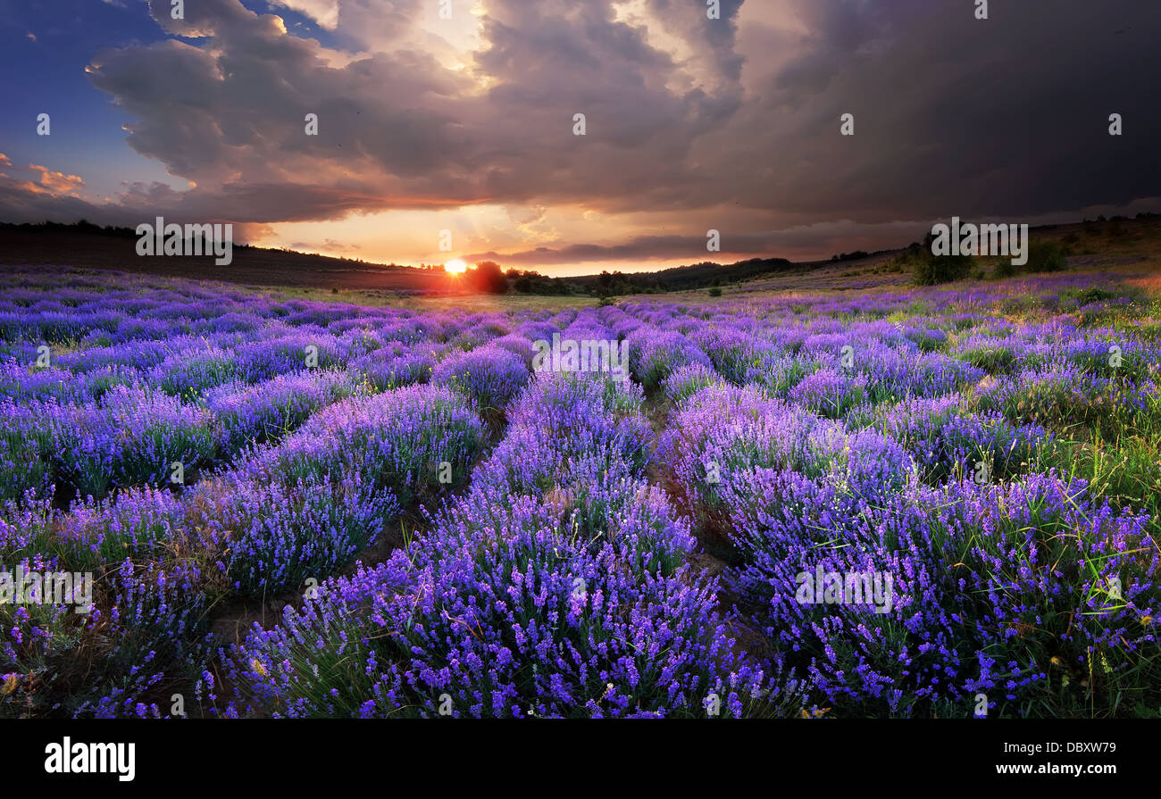 Lavender clouds hi-res stock photography and images - Alamy