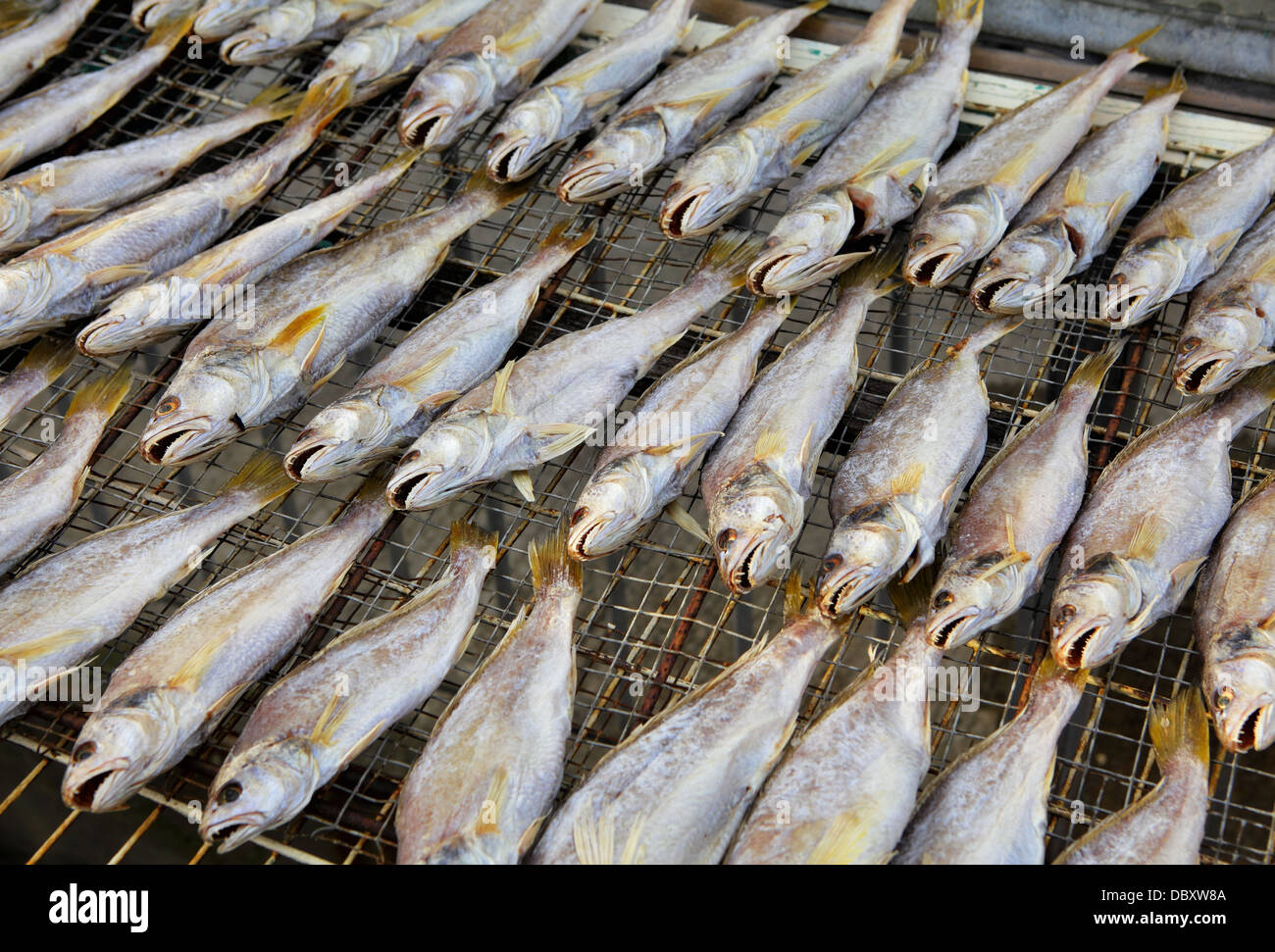 dried salt fish Stock Photo - Alamy