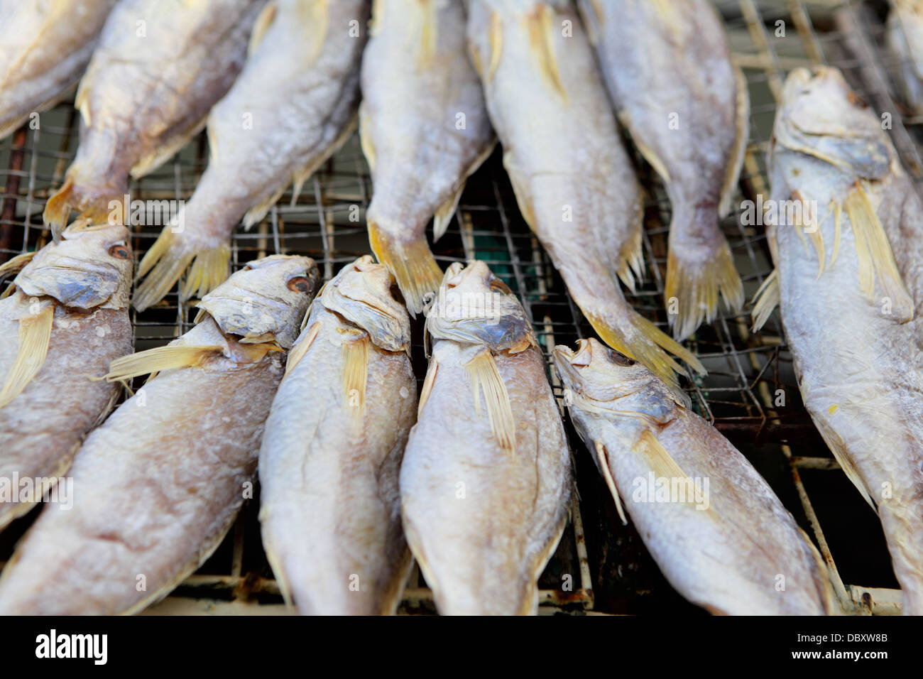 dried salt fish Stock Photo - Alamy