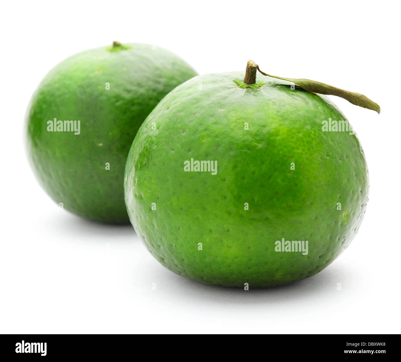 Green citrus Cut Out Stock Images & Pictures - Alamy