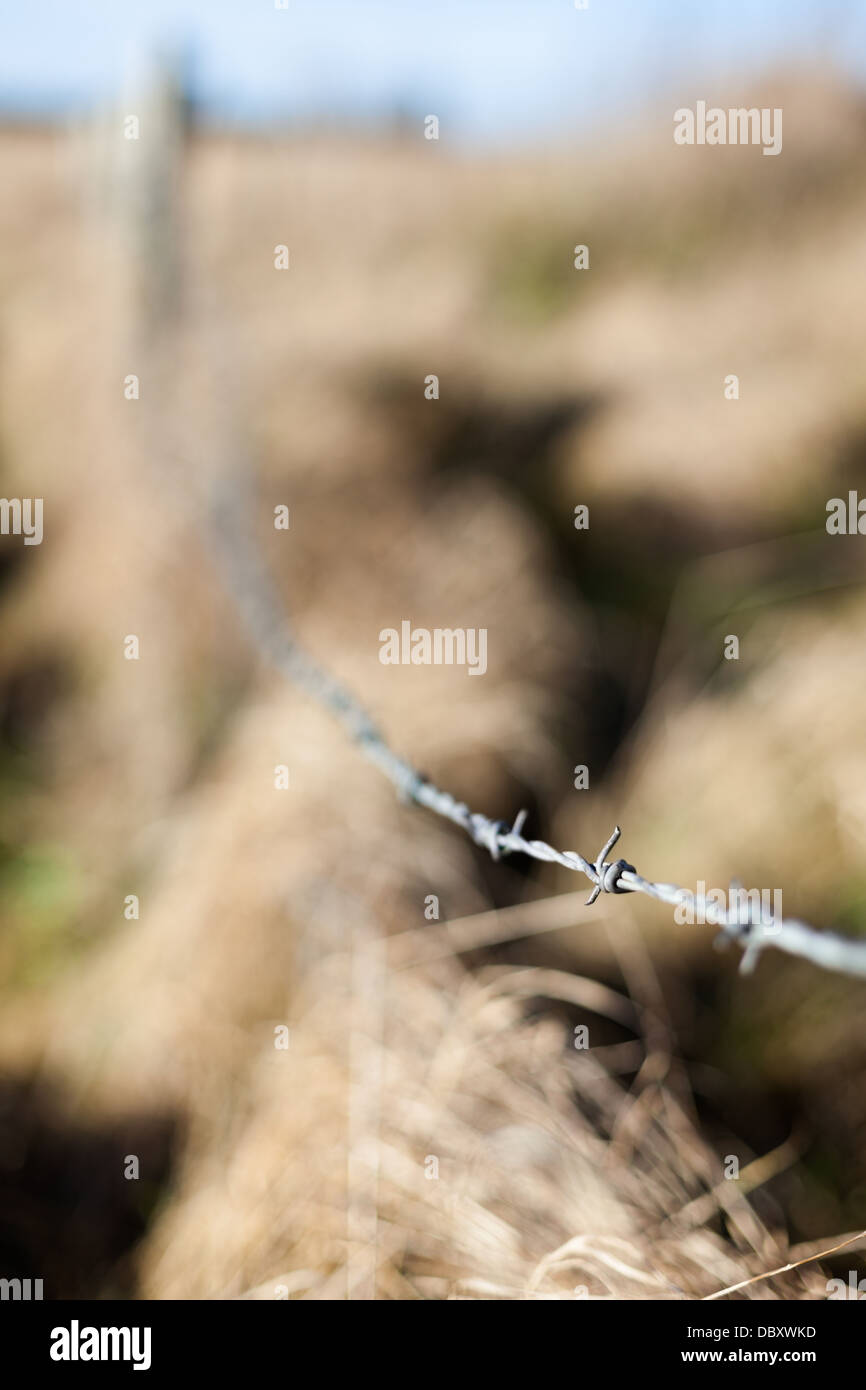Barbed Wire in a field Stock Photo - Alamy