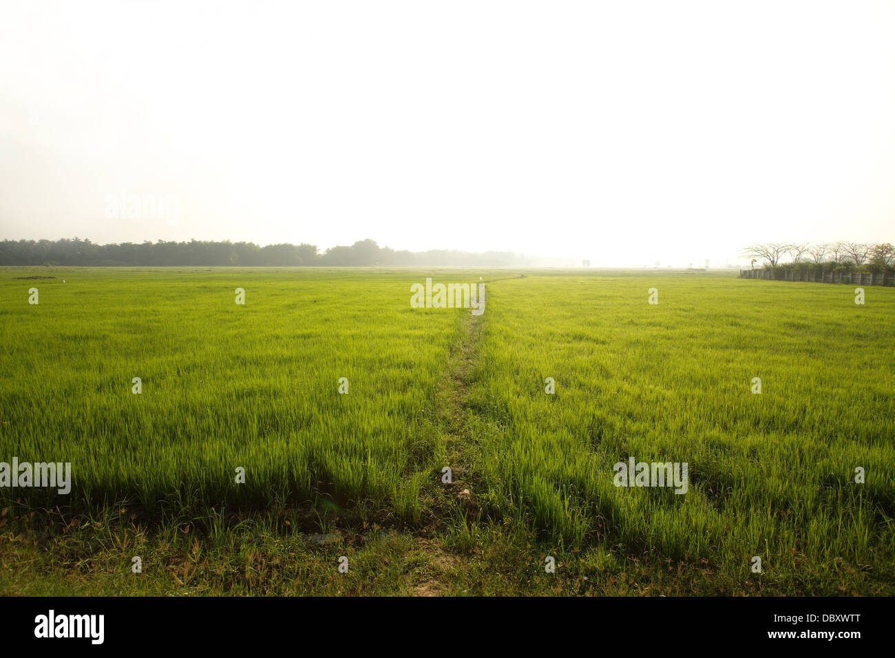 Field desk hi-res stock photography and images - Alamy