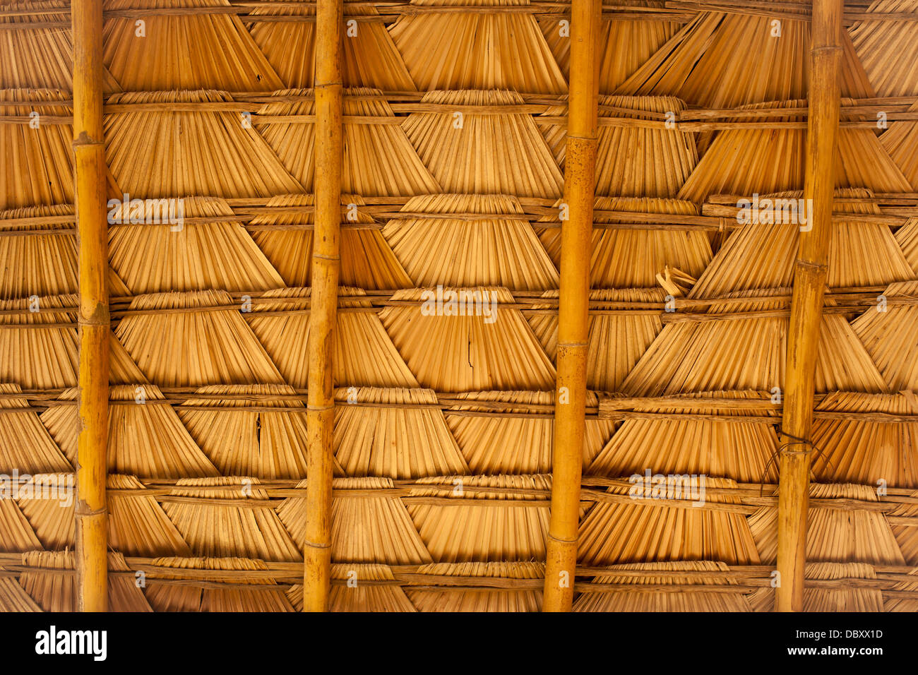 Leaf Roof High Resolution Stock Photography and Images - Alamy