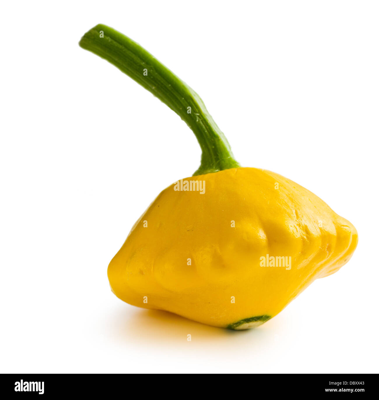 Pattypan squash hi-res stock photography and images - Alamy
