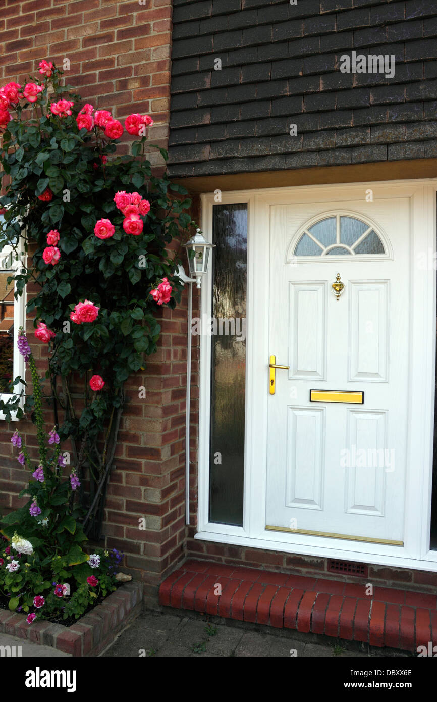 CLIMBING ROSE AROUND A FRONT DOOR Stock Photo - Alamy